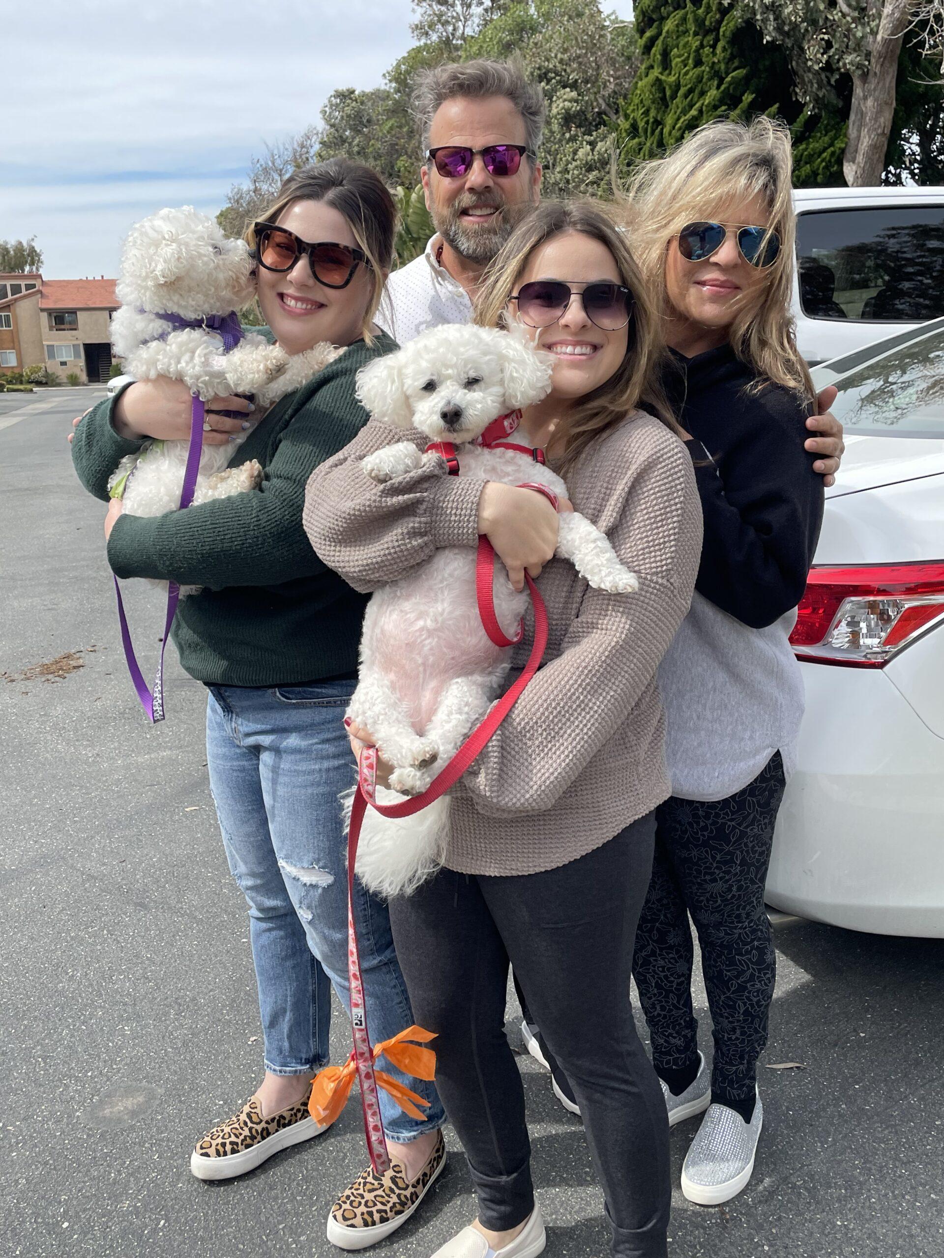So You Want To Adopt? – Bichon Rescue of Orange County